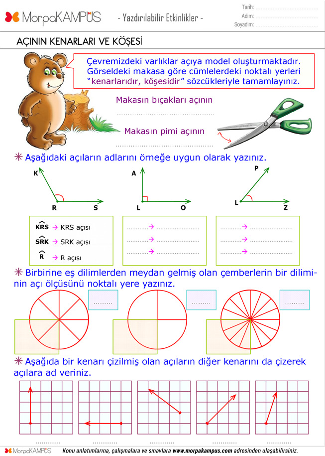 4. Sınıf Konu Anlatımları ve Testleri - Morpa Kampüs